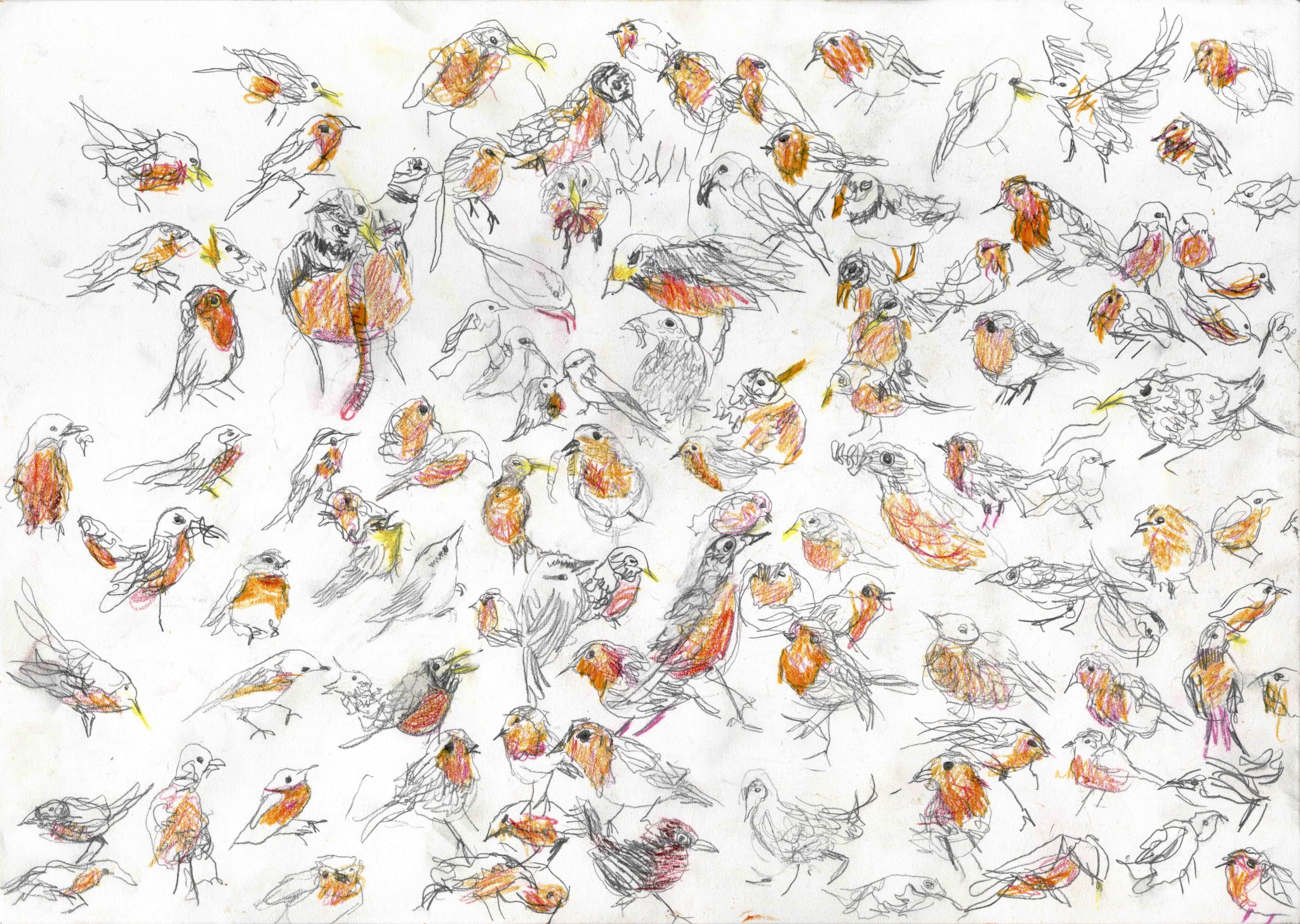 Sarah Ledermann – Crowds and Spit | C4RD